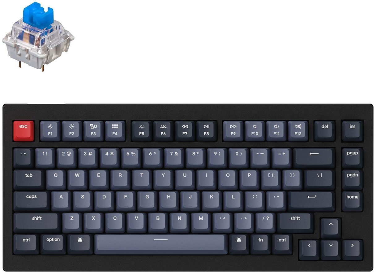Клавиатура Keychron V1 84 Key QMK RGB Gateron G PRO Blue Hot-Swap (V1B2 ...