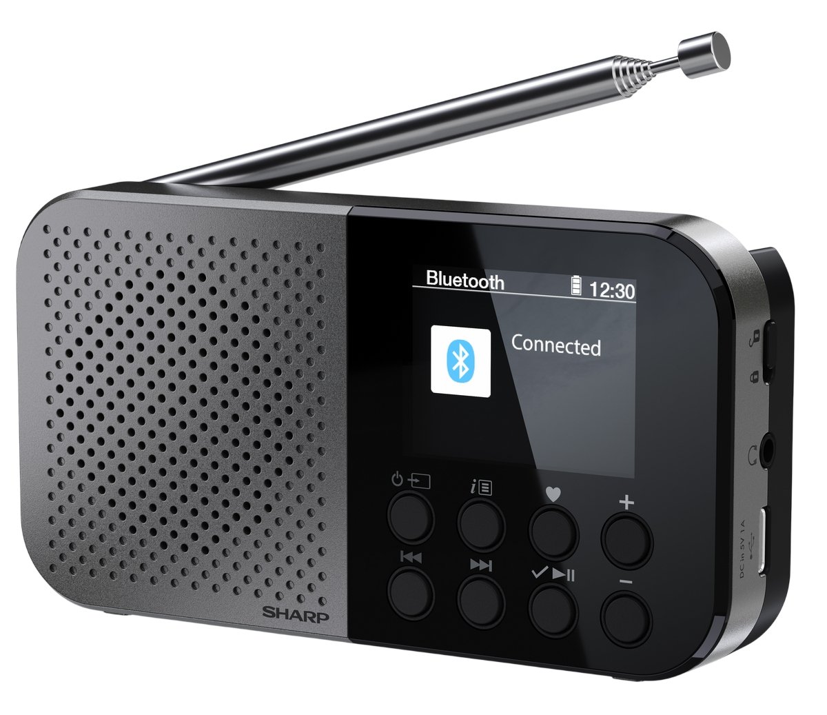 Радиоприемник Sharp DR-P520 Storm Grey купить в Украине: Киев, Днепр ...